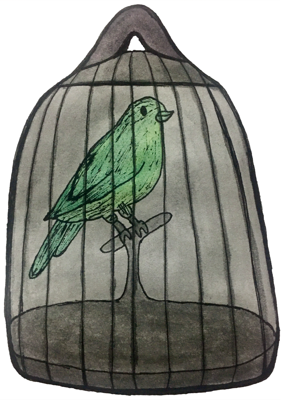 Surviving not Living | Girls Write Now